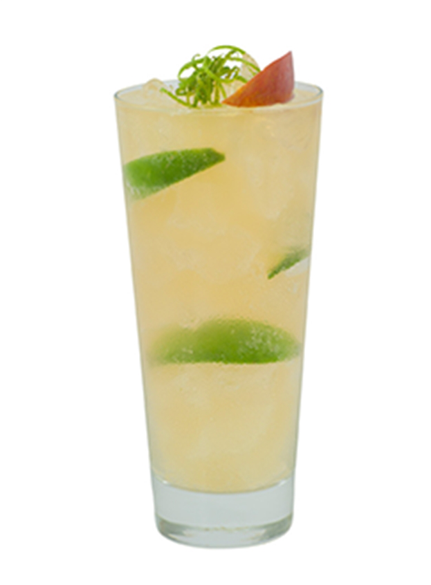 Zing de mango - Monin MX